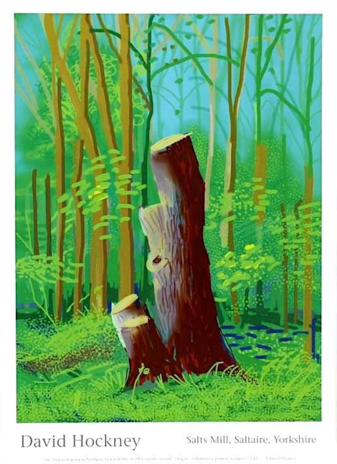 DAVID HOCKNEY - 'the Arrival of Spring' - Original Exhibition Poster ...