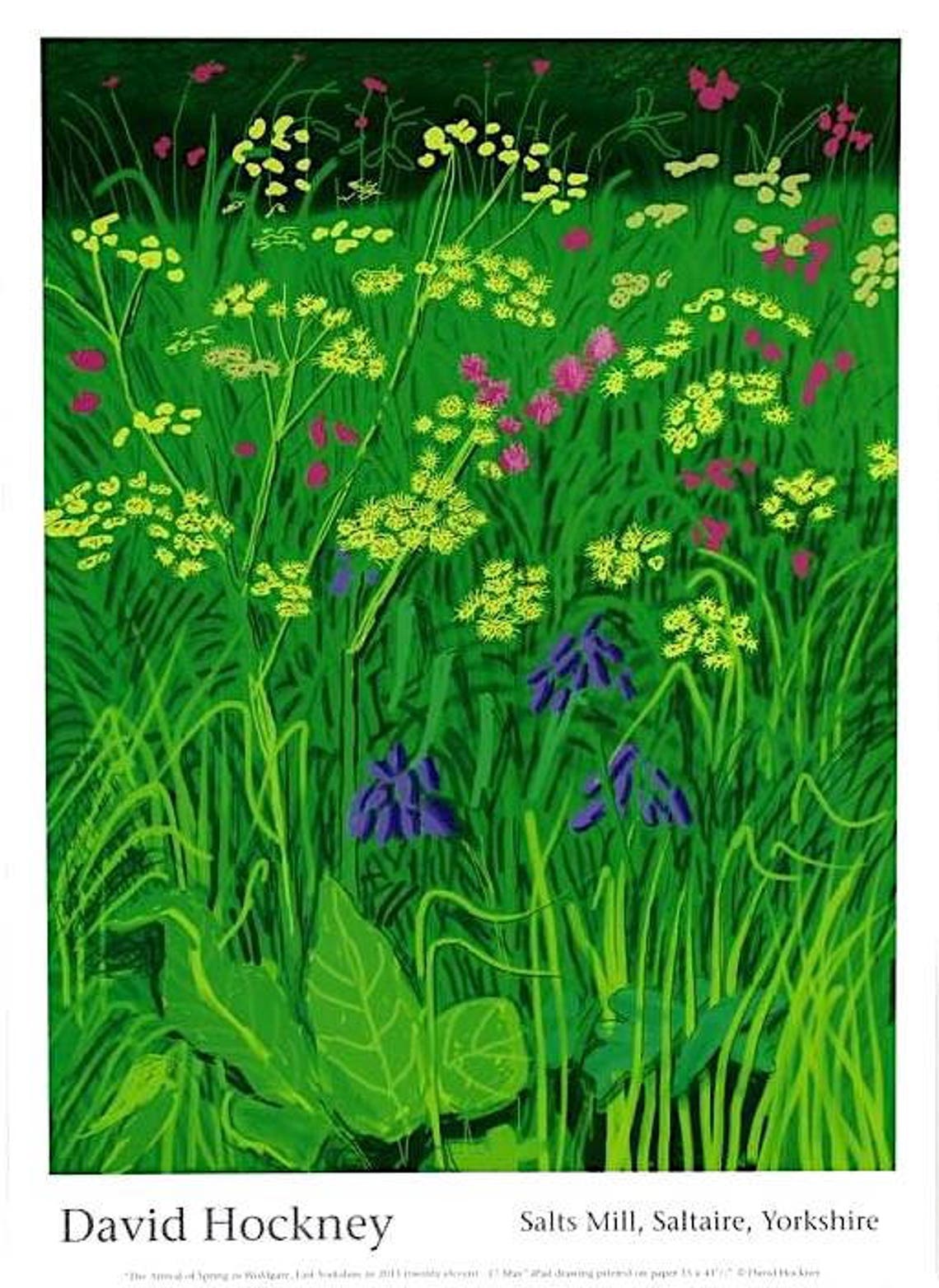 DAVID HOCKNEY - 'the Arrival of Spring' - Original Exhibition Poster ...