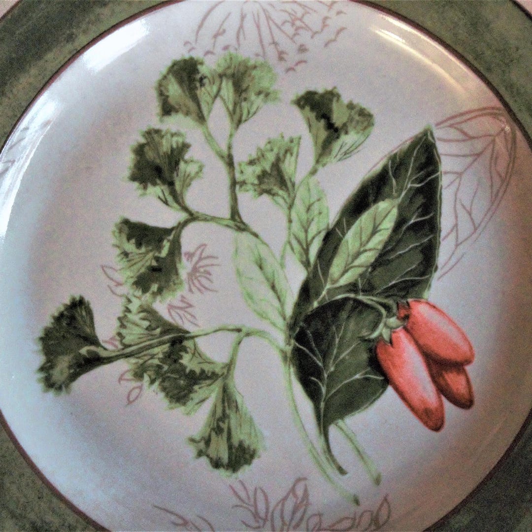 Herb Salad Plates - Set of 4 American Atelier Botanical Plates - Etsy
