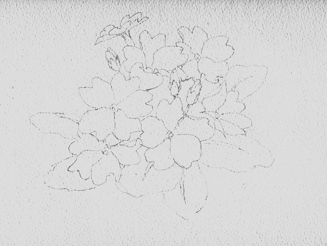 Primrose Step by Step Painting Tutorial. Watercolour Lesson. - Etsy UK