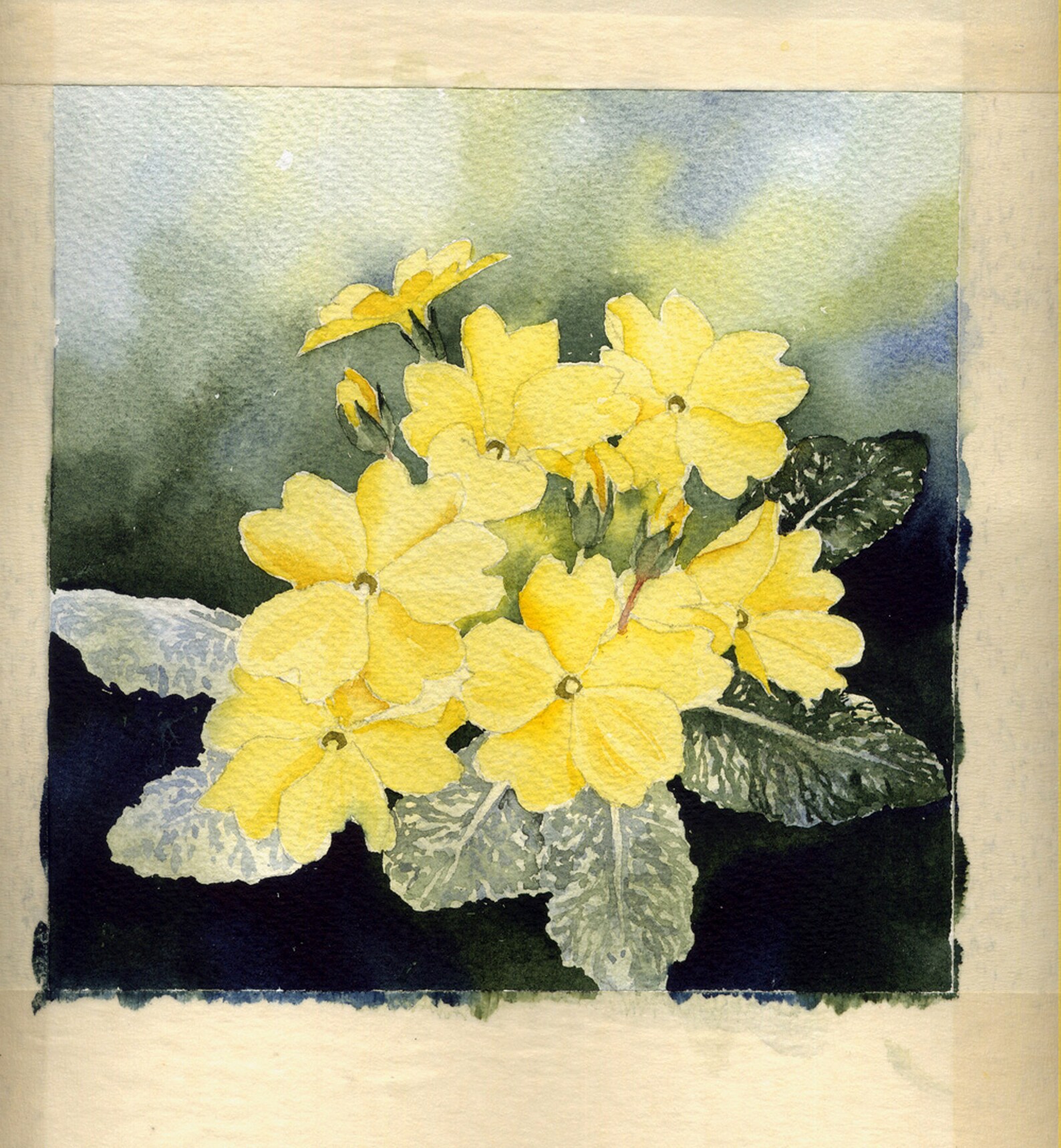 Primrose Step by Step Painting Tutorial. Watercolour Lesson. | Etsy UK