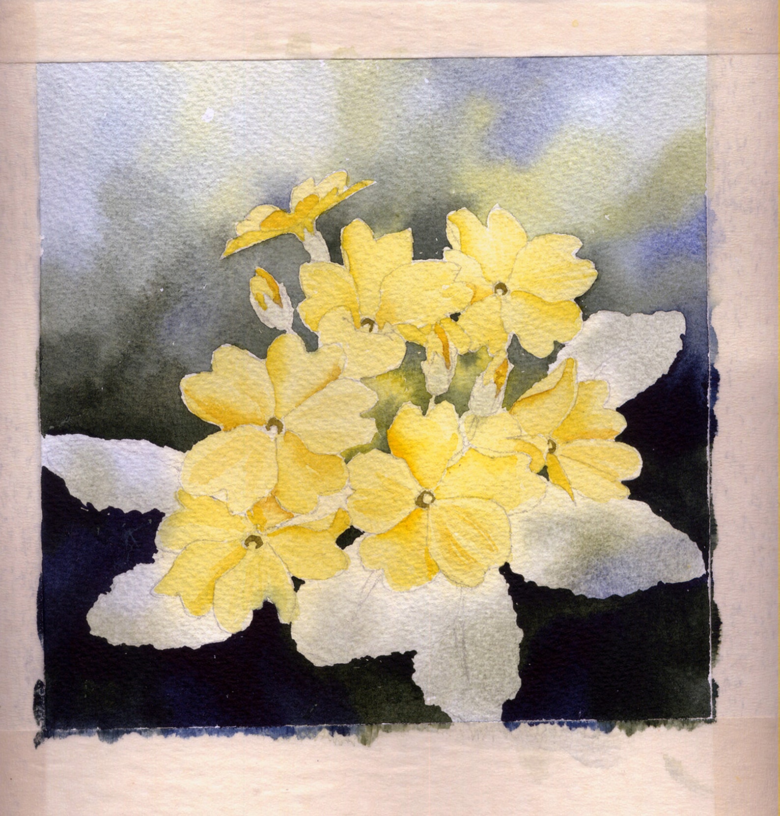 Primrose Step by Step Painting Tutorial. Watercolour Lesson. | Etsy UK