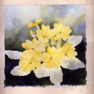 Primrose Step by Step Painting Tutorial. Watercolour Lesson. - Etsy UK