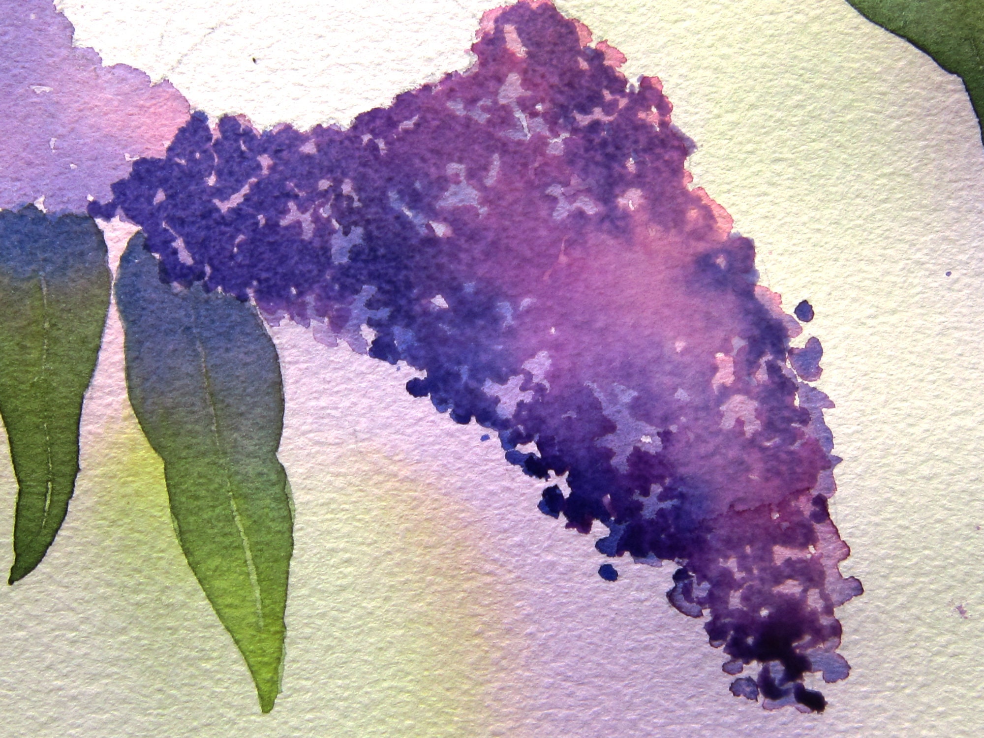 Instant Download Print at Home Step by Step Watercolour Painting ...