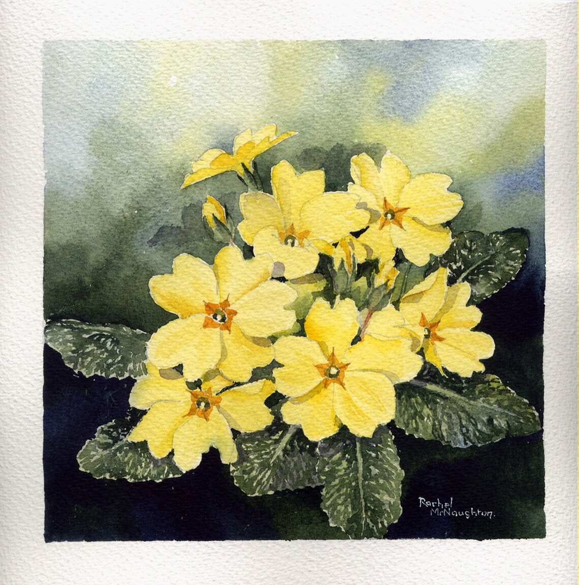 Primrose Step by Step Painting Tutorial. Watercolour Lesson. - Etsy UK