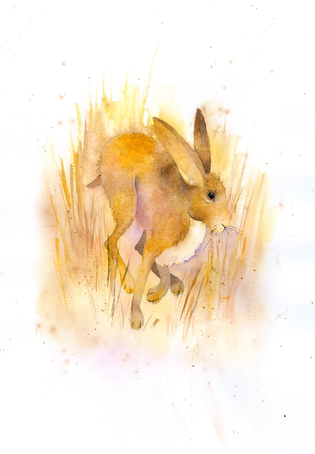 Watercolour Printable Step by Step Tutorial, Hare, Animal Painting - Etsy