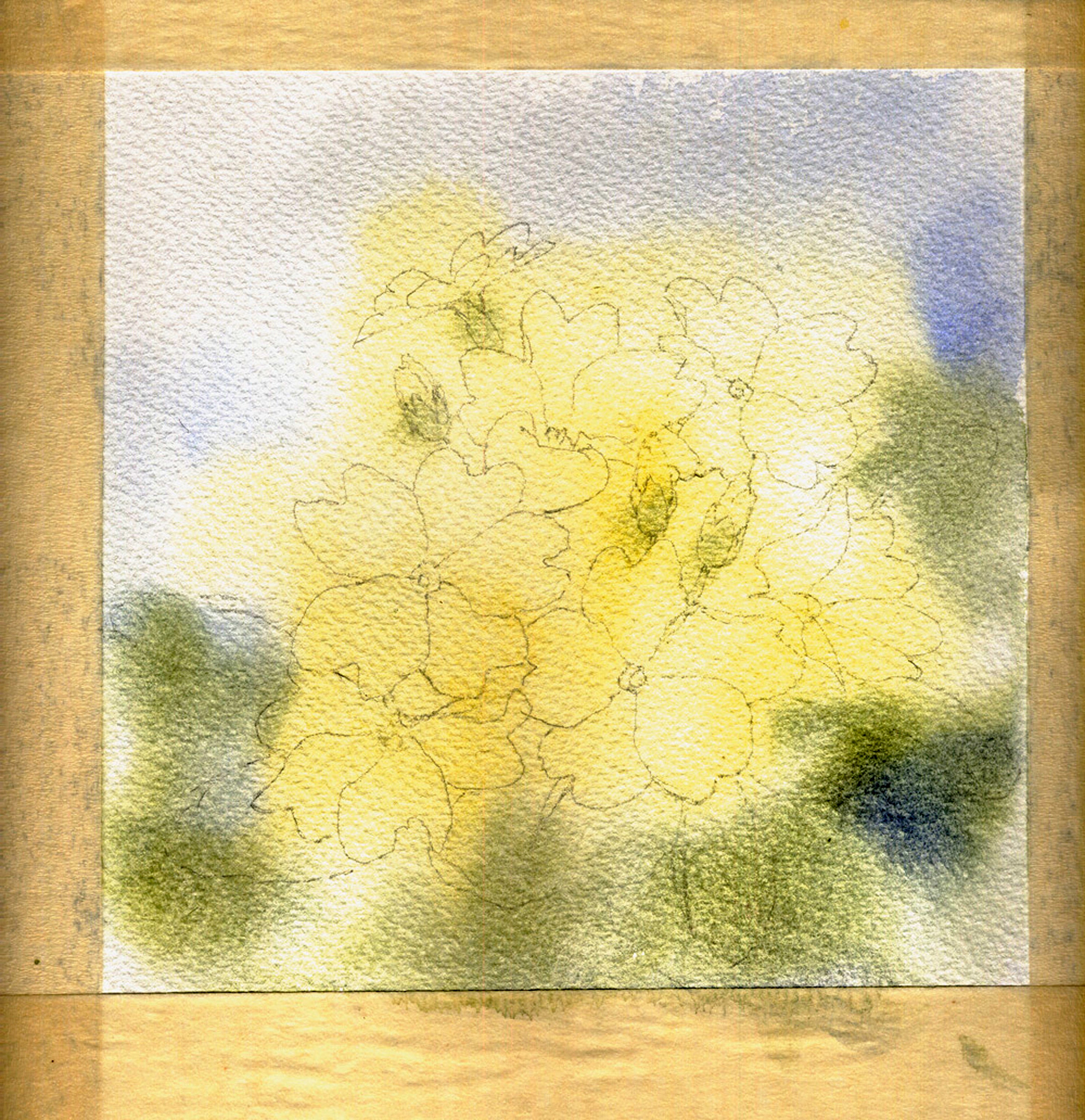 Primrose Step by Step Painting Tutorial. Watercolour Lesson. - Etsy UK