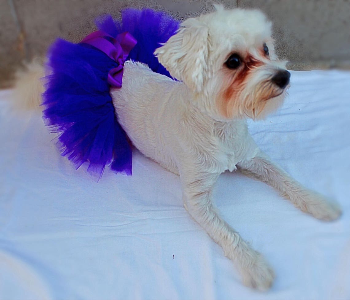 Dog Tutu (available in Other Colors) - Etsy