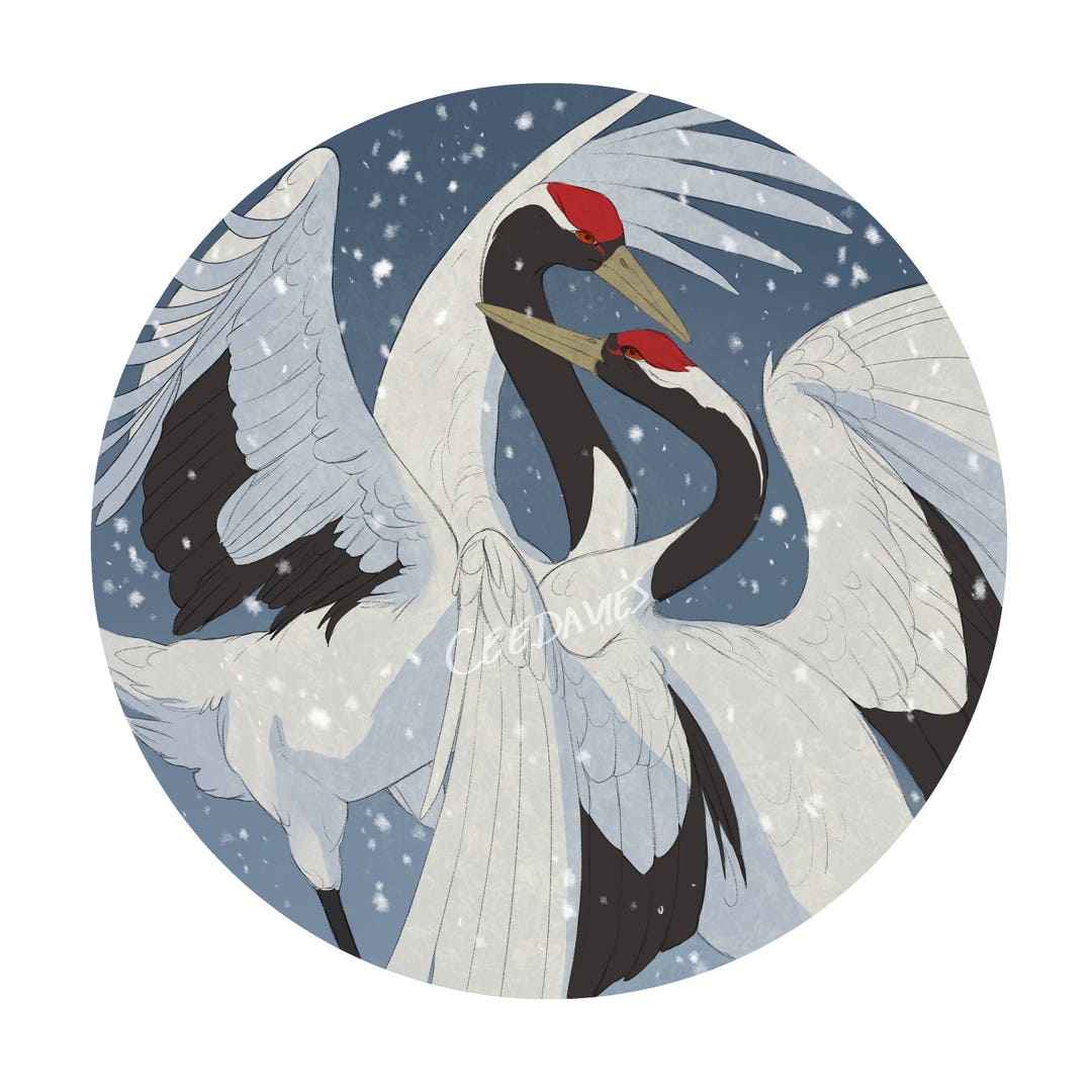 Red Crowned Crane Greetings Card - Etsy