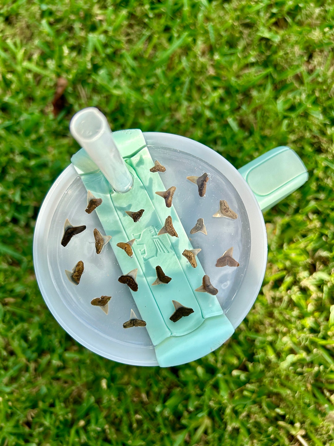 Authentic Mico Shark Teeth Stanley Topper Stanley Name Plate Name Plate ...