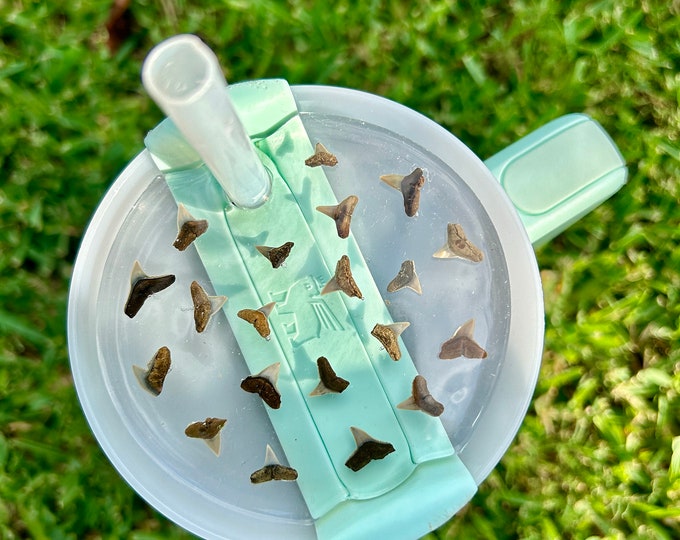 Authentic Mico Shark Teeth Stanley Topper - Stanley Name Plate - Unique ...