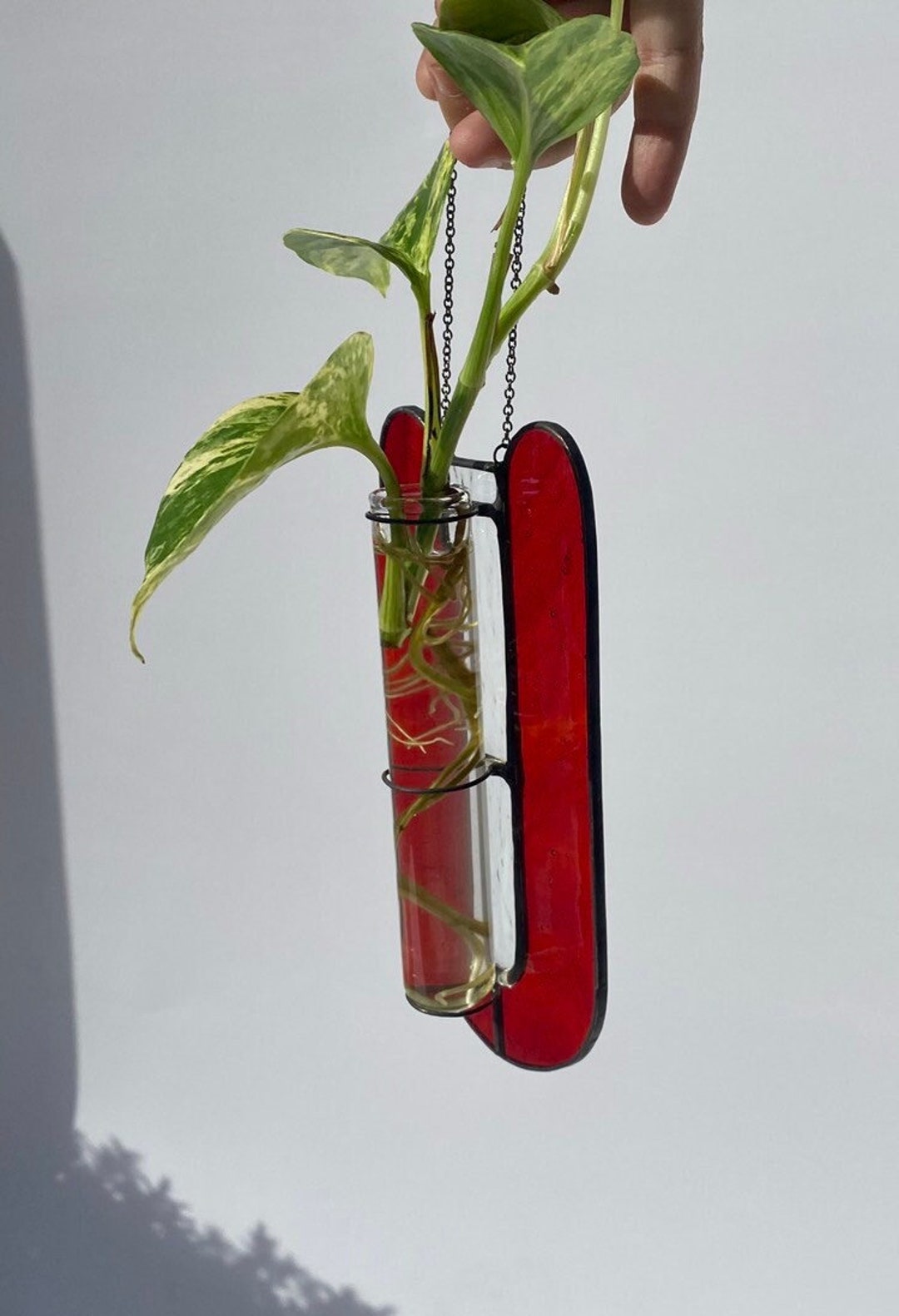 Red Propagation Station Stained Glass Plant Growing Sun Catcher plant ...