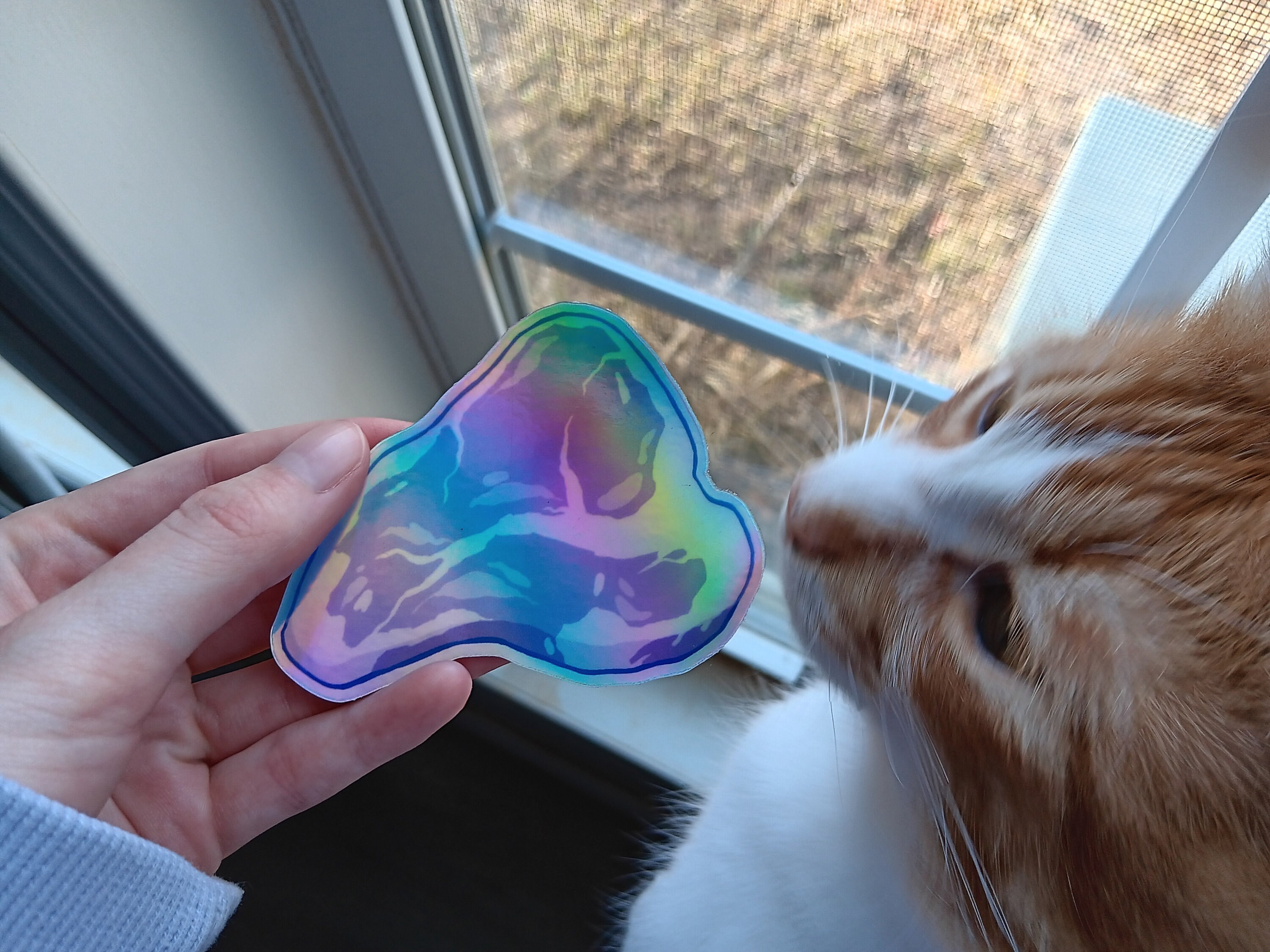 Holographic Pastel Steak Sticker | Weirdcore Stickers | Pastel Stickers ...