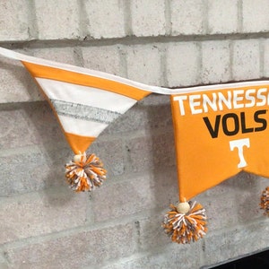 University of Tennessee Volunteers Party Decor, Celebration Bunting ...
