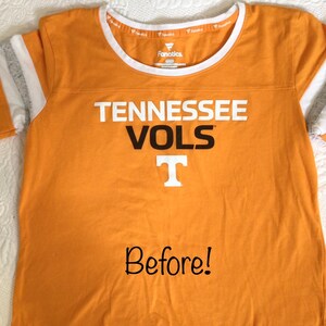 University of Tennessee Volunteers Party Decor, Celebration Bunting ...