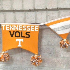 University of Tennessee Volunteers Party Decor, Celebration Bunting ...