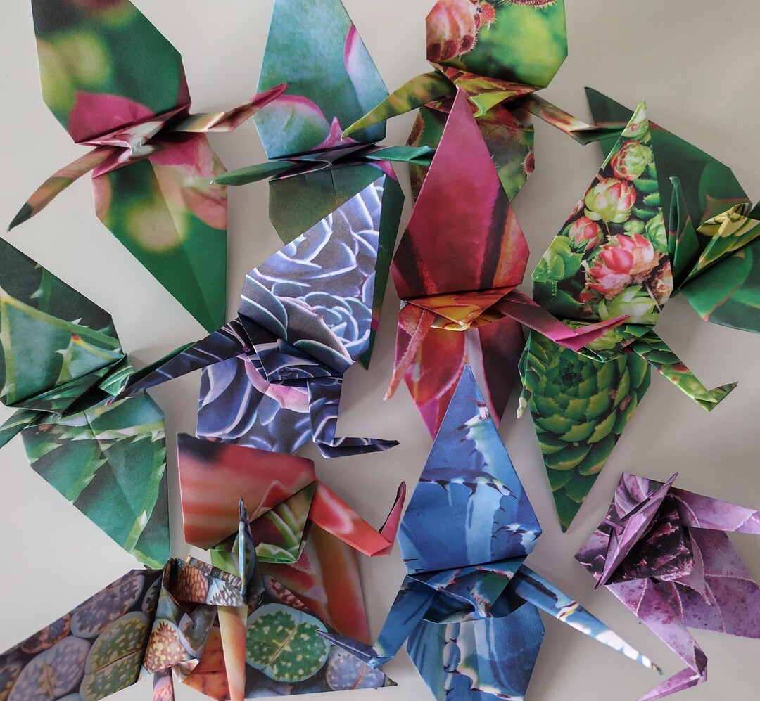 Handmade Origami Cranes (set of 12): Succulents Patterns Hanging ...