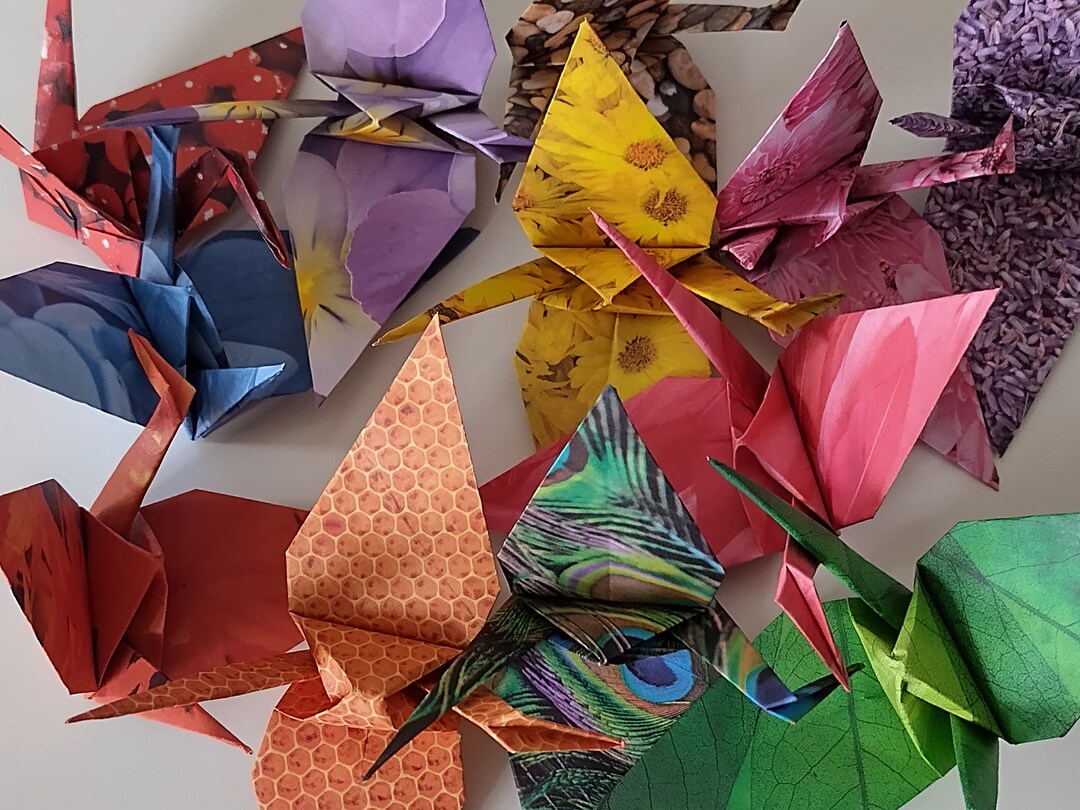 Set of 12 Handmade Colourful Origami Cranes nature Patterns - Etsy