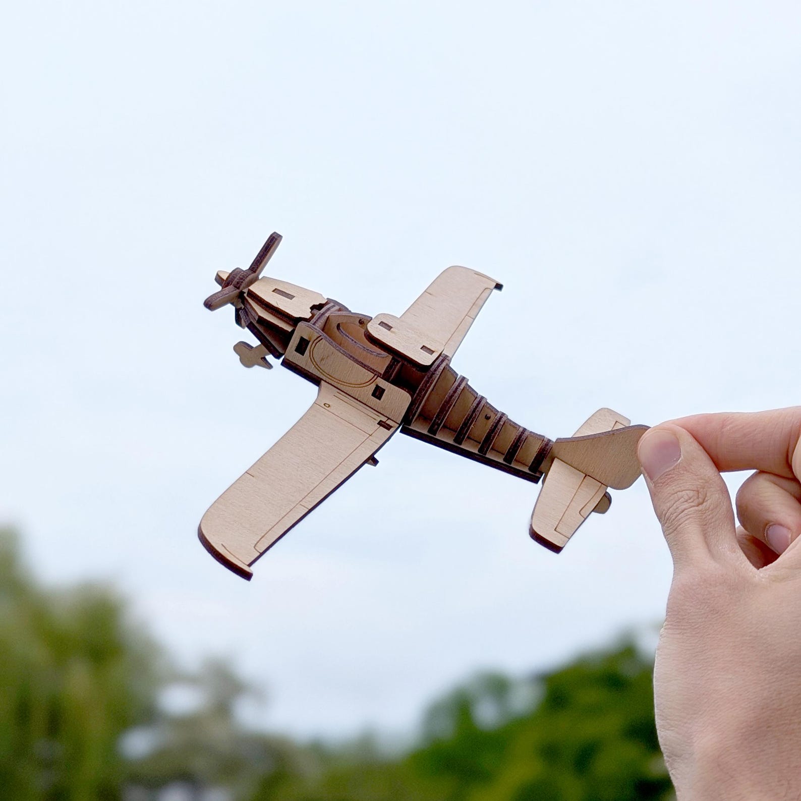 Airplane Model - Laser Cut File, Digital Vector Plan for Cutting ...