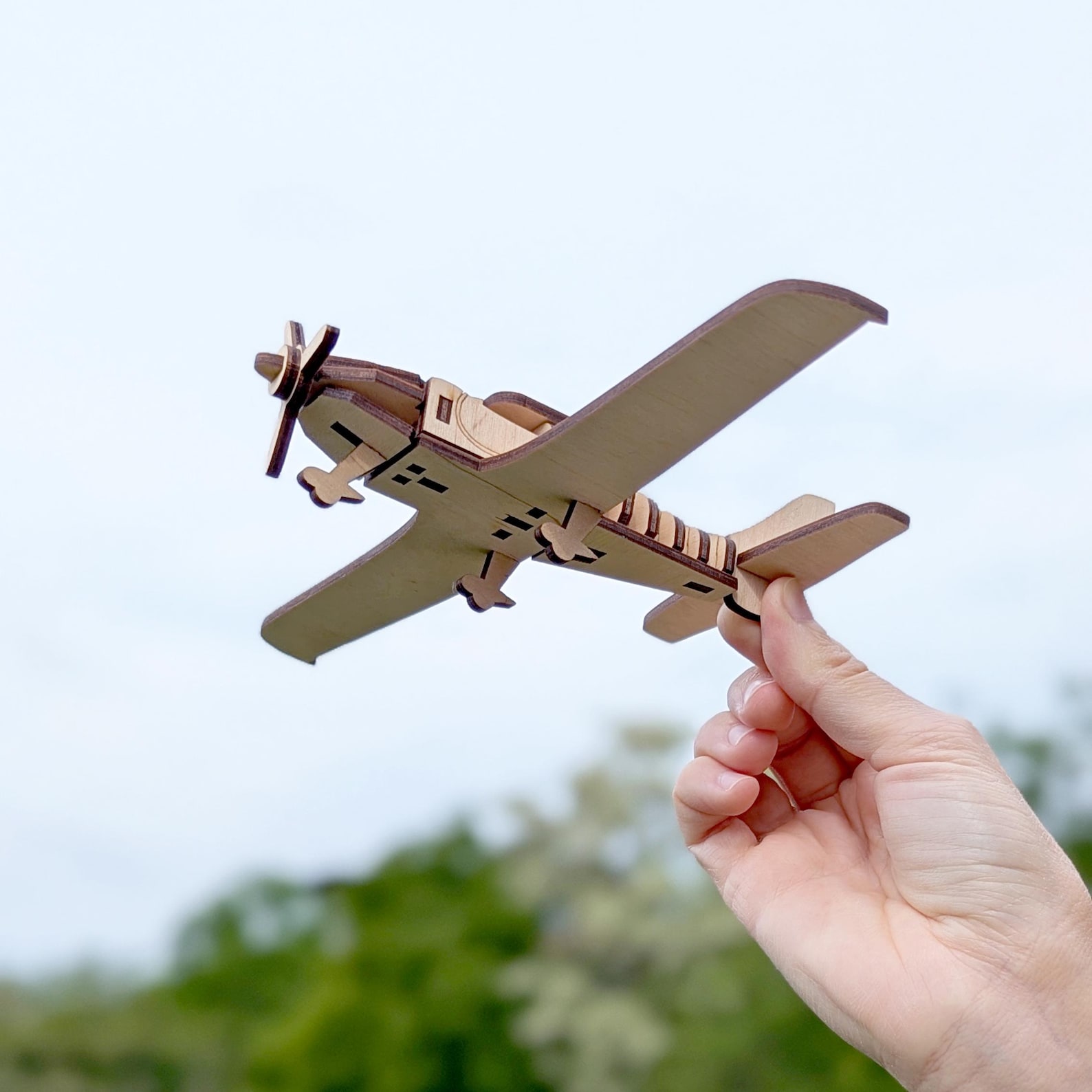 Airplane Model - Laser Cut File, Digital Vector Plan for Cutting ...