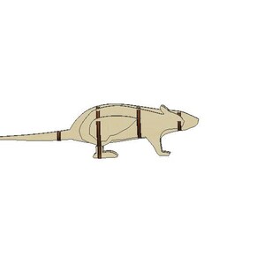 Dxf Files for Laser Cut Wood Project 3d Puzzle Rat Svg Cut File ...