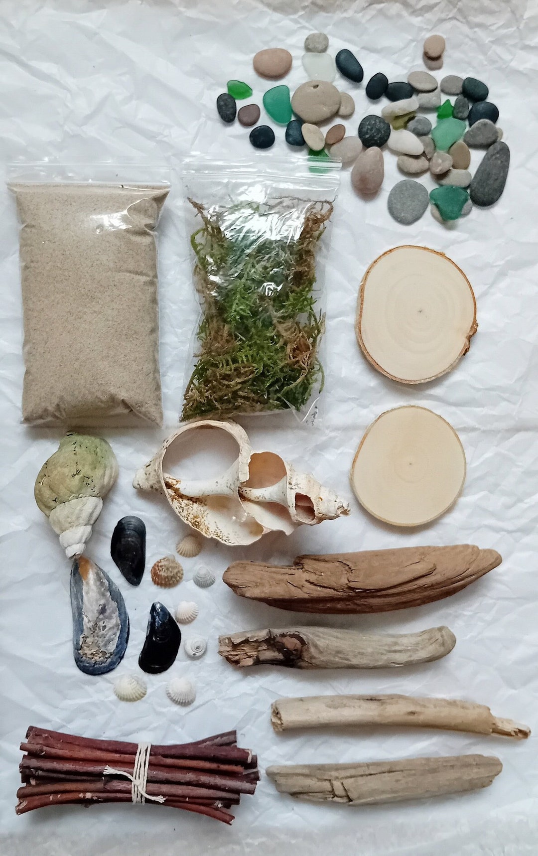 Set of Natural Materials: Shells Twigs Stick Washed by the Sea Pebbles ...