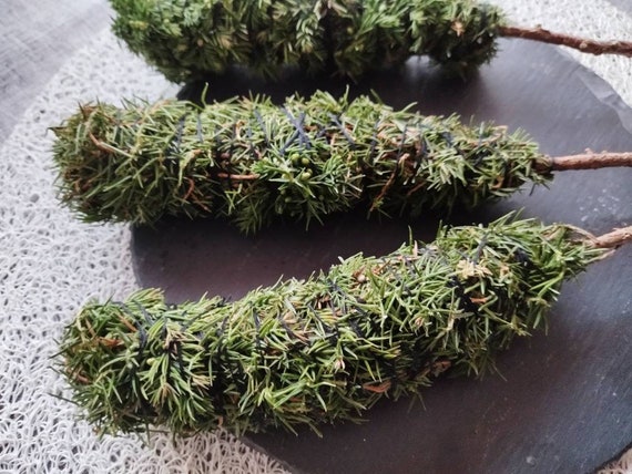 Forest Juniper Gift guide 2022 Energy With healing crystals Cleansing ...