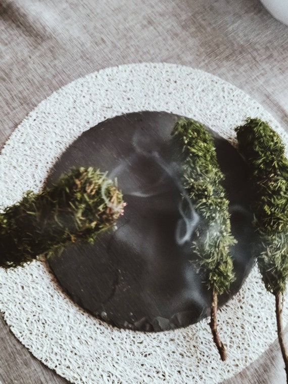 Forest Juniper Gift guide 2022 Energy With healing crystals Cleansing ...