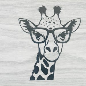 Giraffe With Glasses Funny Vinyl Decal/sticker - Multiple Colours and ...