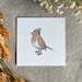 5x5” Prints Multi-pack 3 Count - Etsy