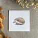 5x5” Prints Multi-pack 3 Count - Etsy