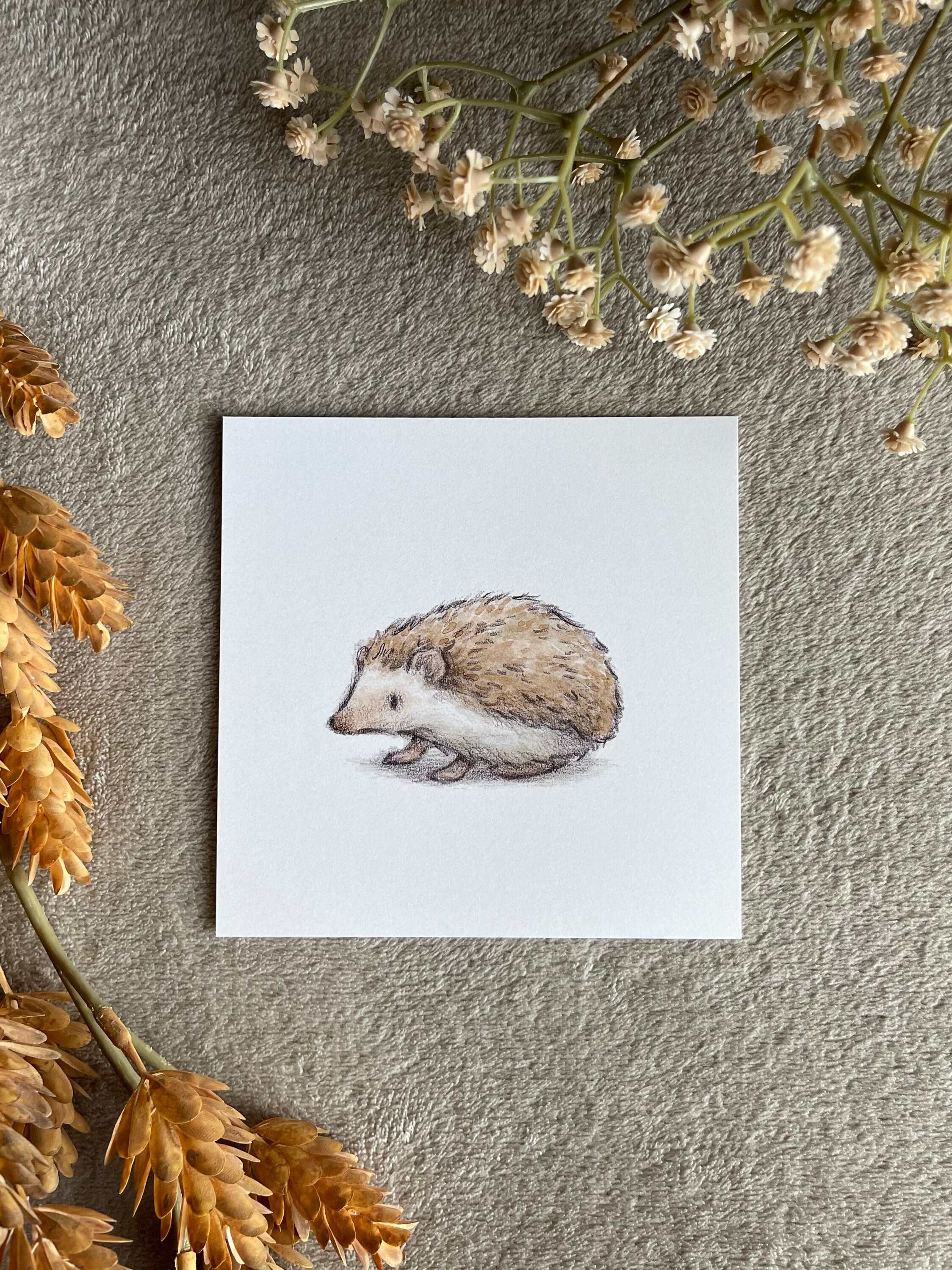 5x5” Prints Multi-pack 3 Count - Etsy
