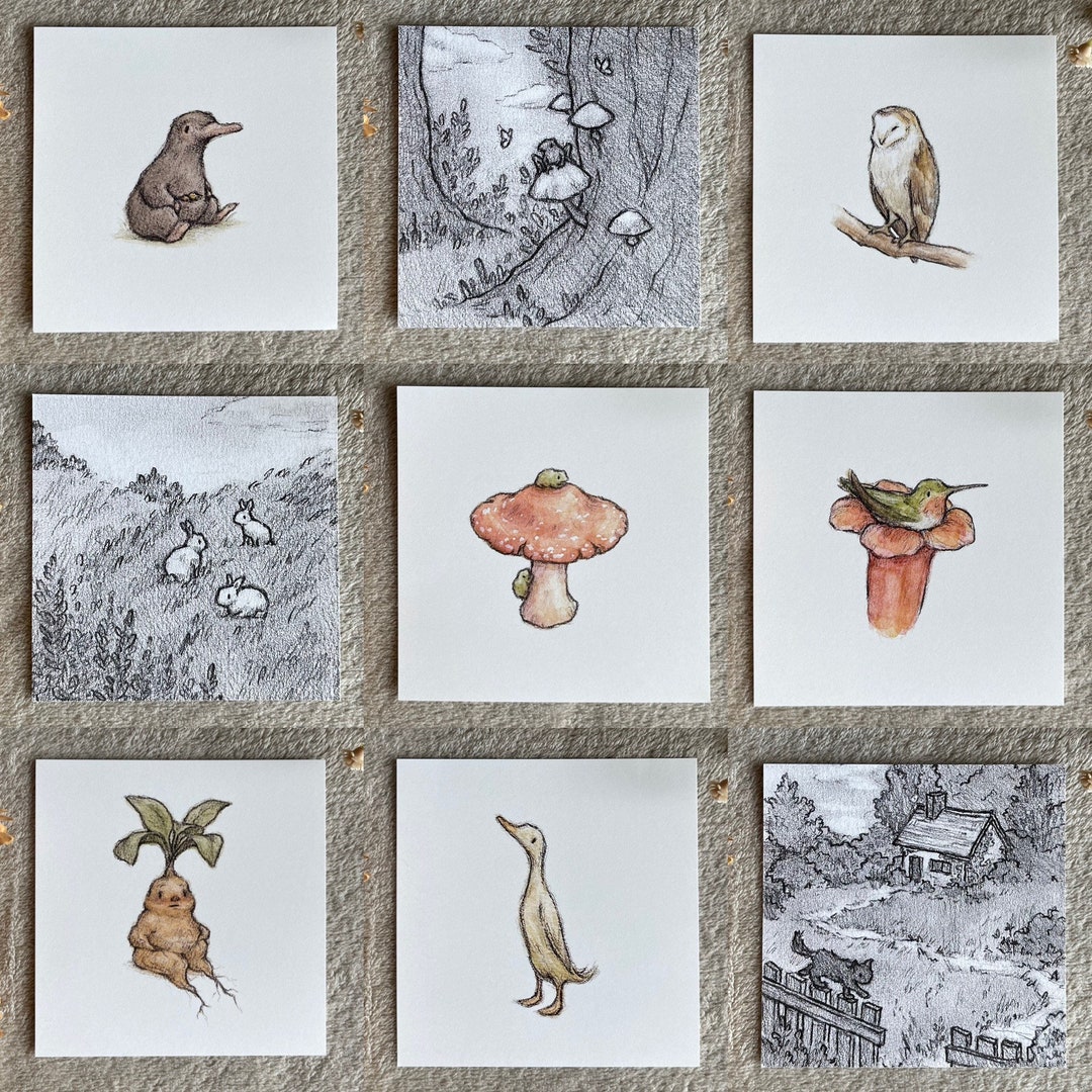 4x4 Prints Multi-pack 5 Count - Etsy