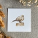 5x5” Prints Multi-pack 3 Count - Etsy