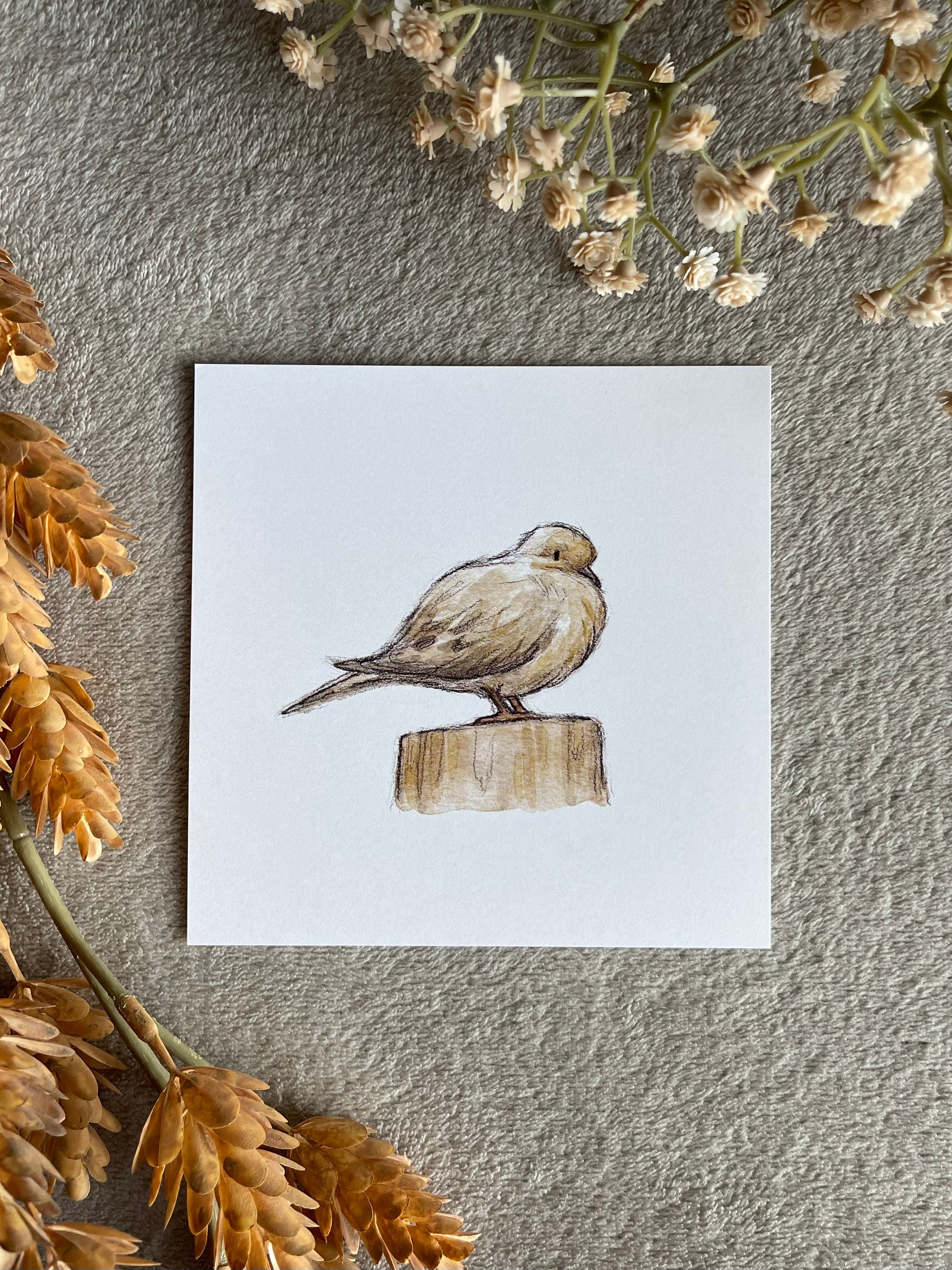 5x5” Prints Multi-pack 3 Count - Etsy