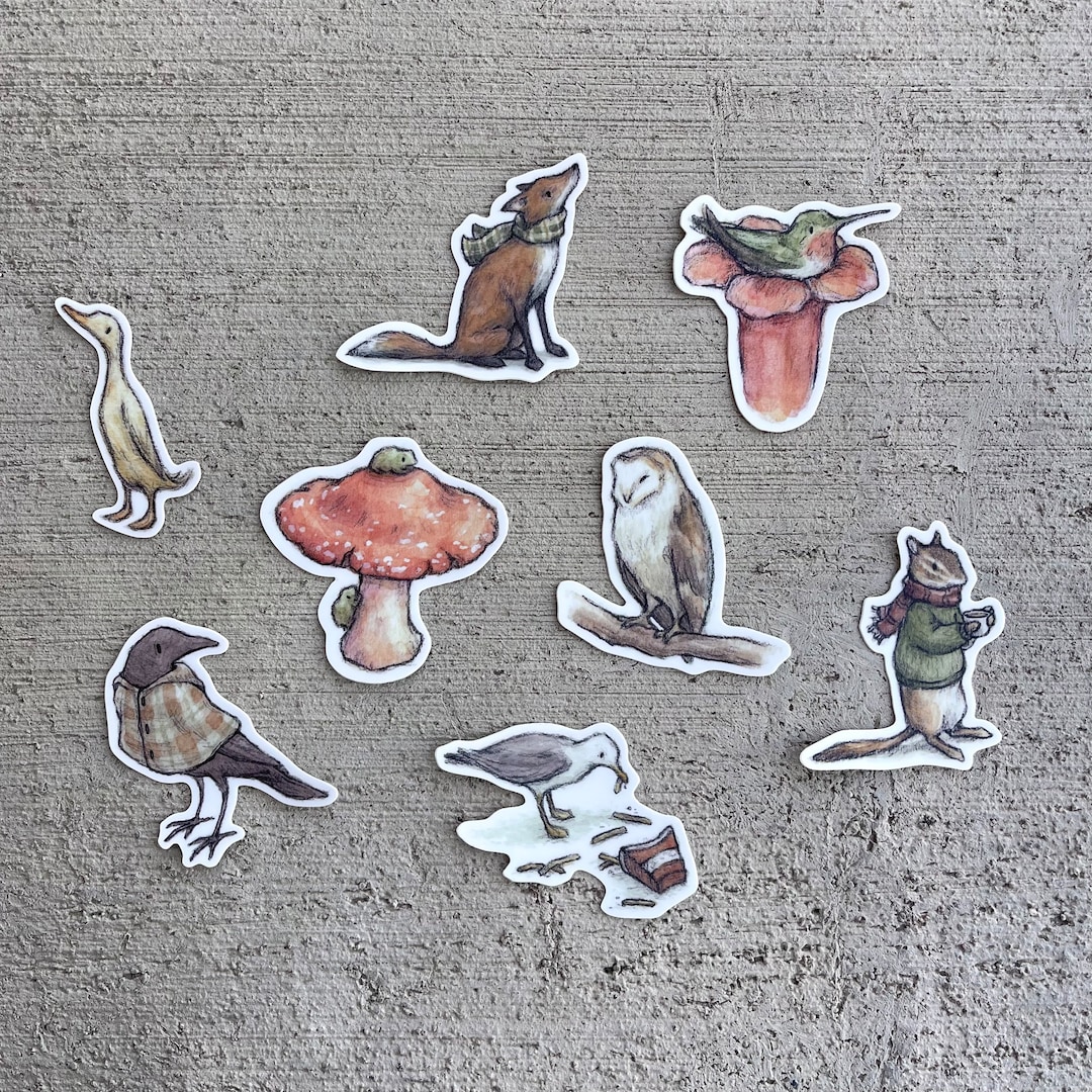 8 Count Sticker Pack - Etsy