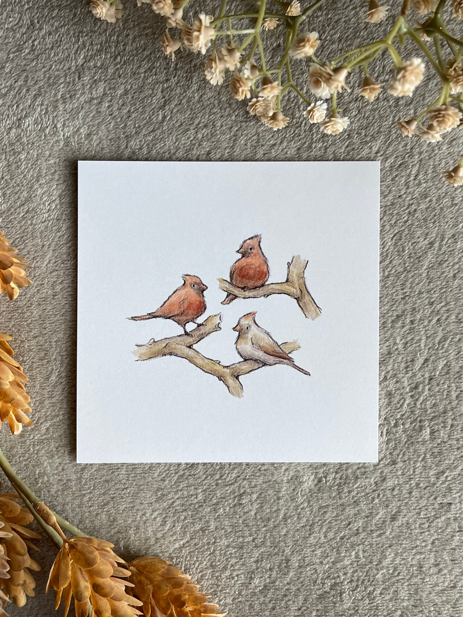 5x5” Prints Multi-pack 3 Count - Etsy