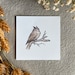 5x5” Prints Multi-pack 3 Count - Etsy