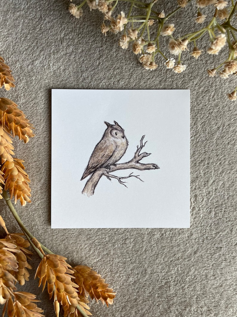 5x5” Prints Multi-pack 3 Count - Etsy