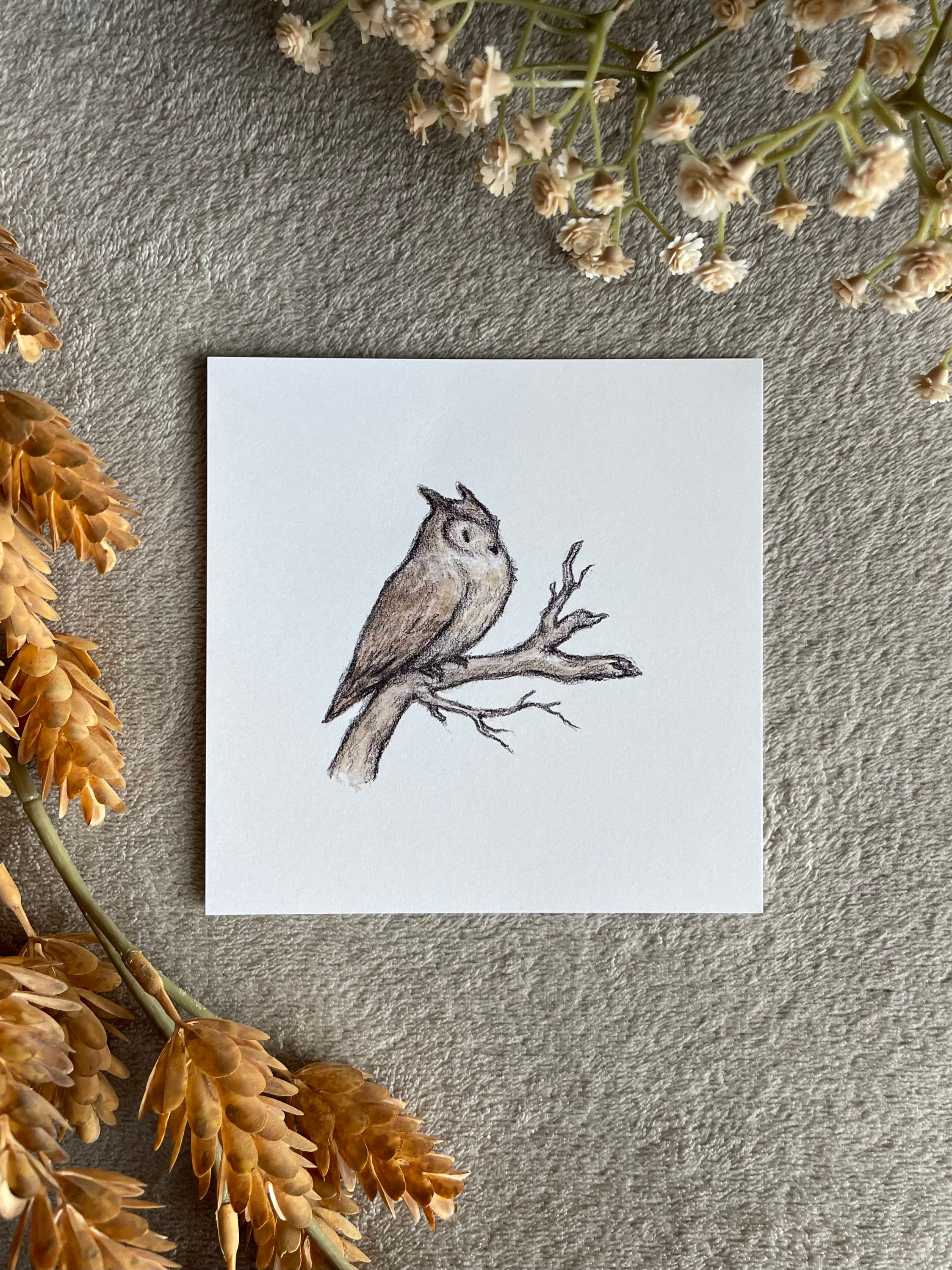 5x5” Prints Multi-pack 3 Count - Etsy