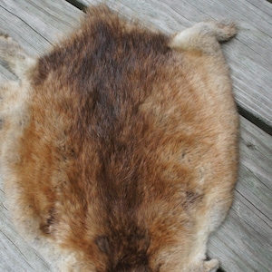 REAL MUSKRAT Muskrat Fur Muskrat Pelt Tanned Pelt Hide - Etsy