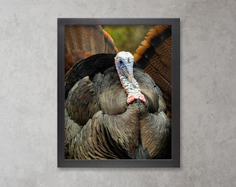 Wild Turkey Digital Print Oil Painting Animals in Nature Wildlife ...