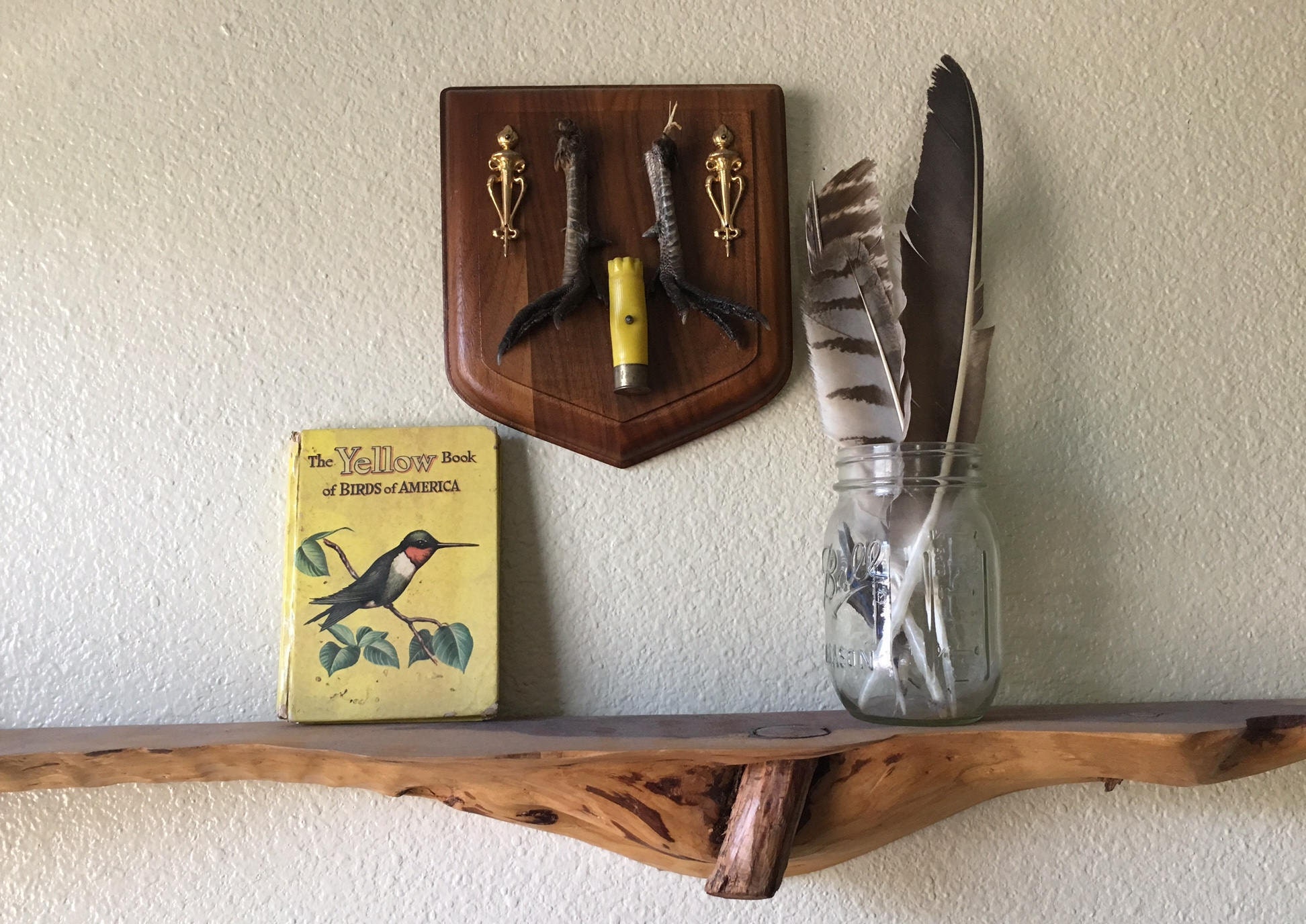 Rare Taxidermy Pheasant Feet With Shotgun Shell Mounted on Wooden ...