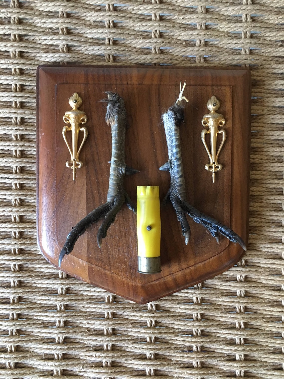 Rare Taxidermy Pheasant Feet With Shotgun Shell Mounted on Wooden ...