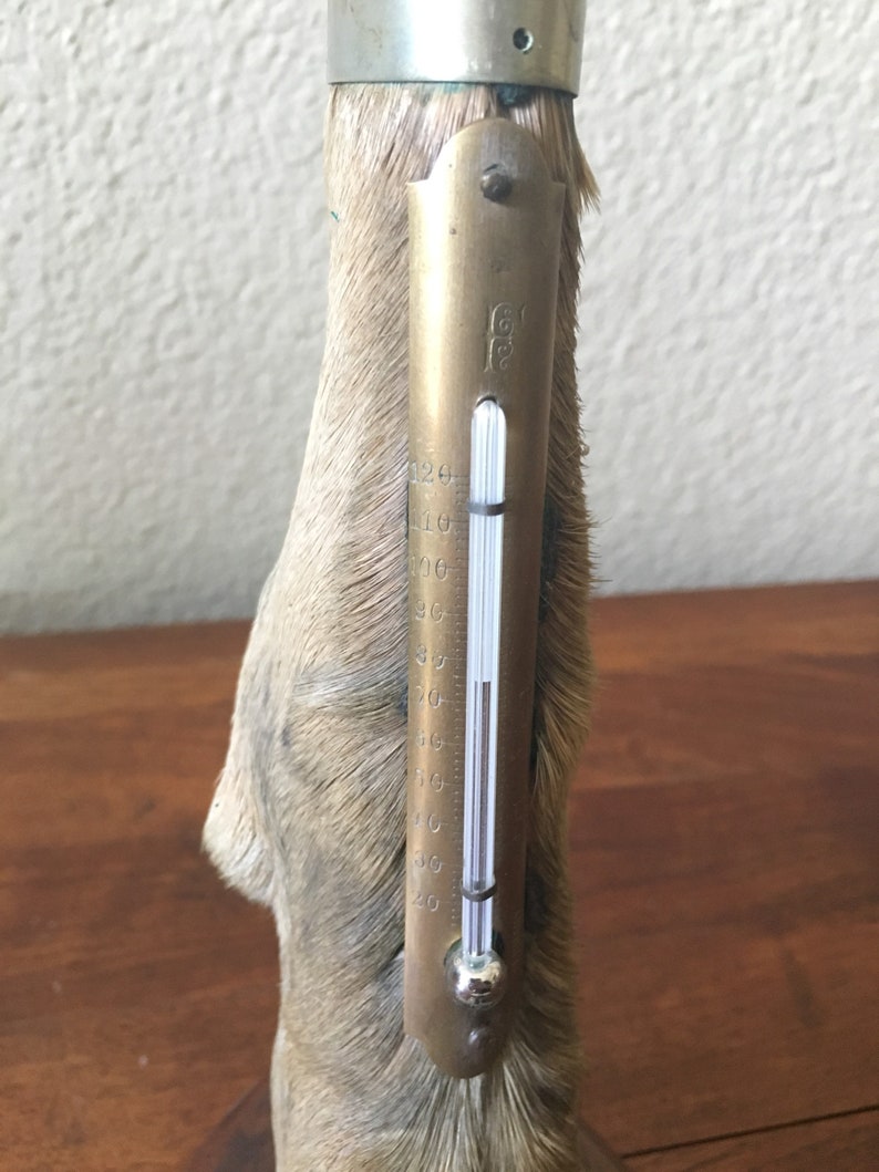 1929 Stag Hoof Thermometer - Etsy