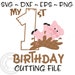 Pig Birthday Shirt Svg, Pig Birthday Party Svg, 1st Birthday SVG, First ...