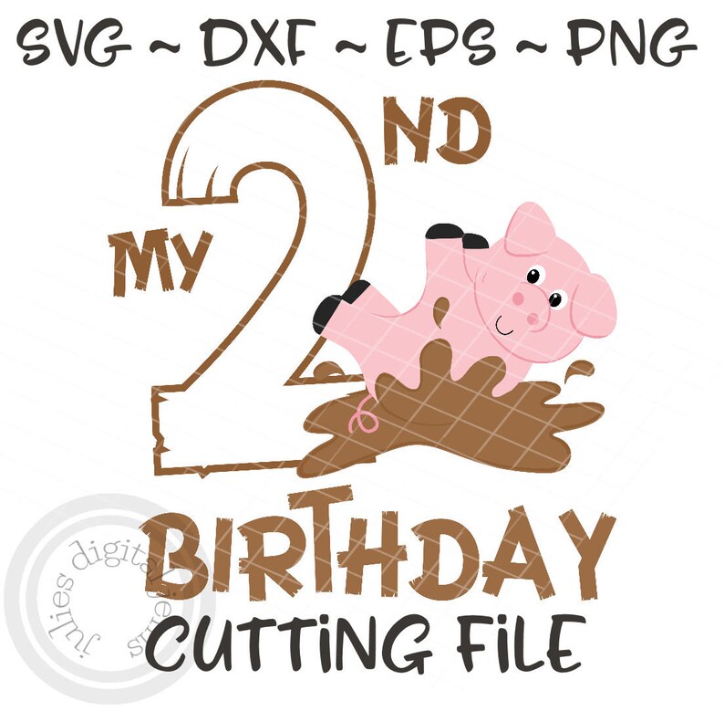 Pig Birthday Shirt Svg, Pig Birthday Party Svg, 2nd Birthday SVG ...
