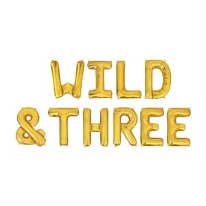 Wild and Three Balloons Wild and Three Decorations Young Wild and Three ...