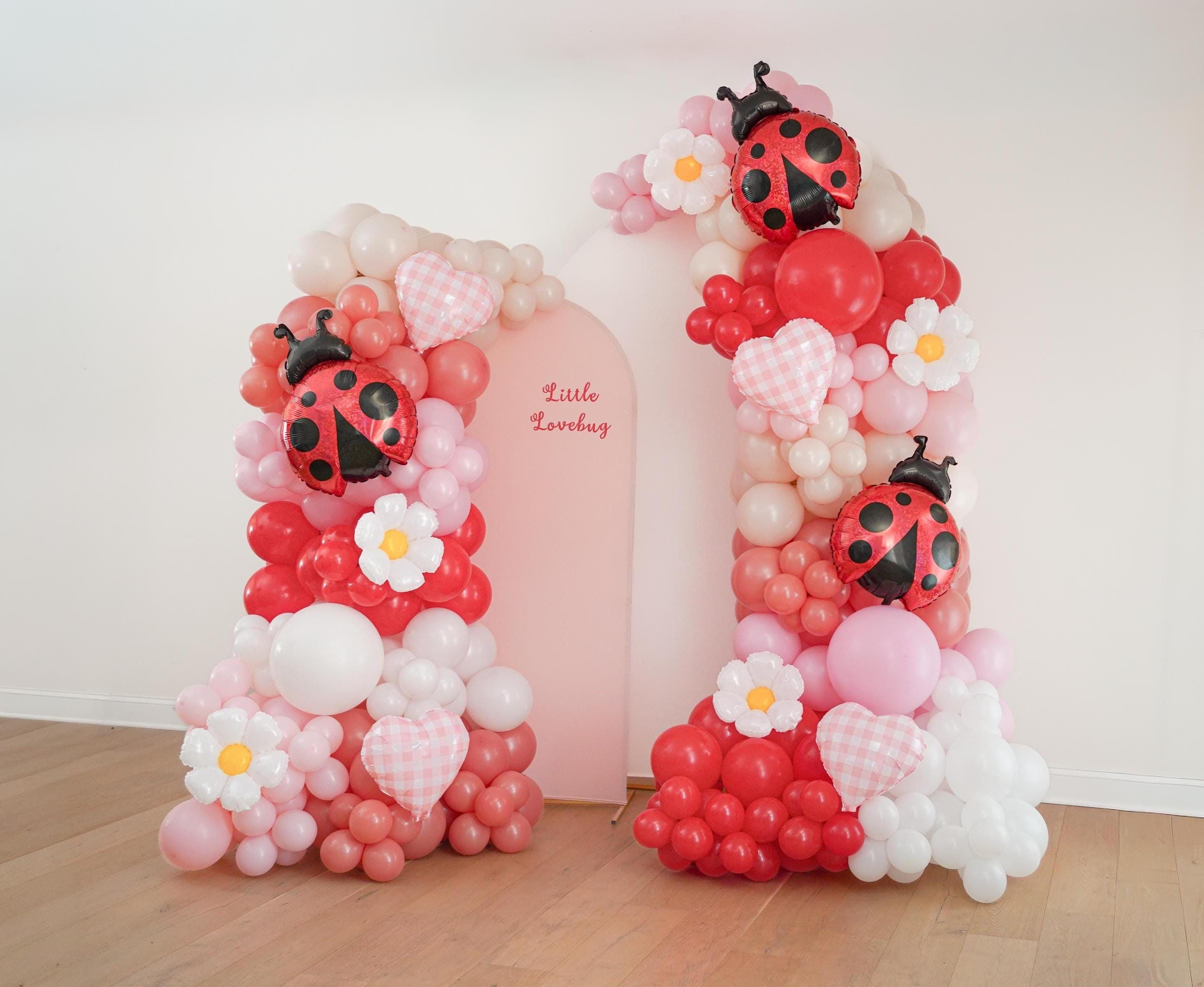 Ladybug Birthday Party Decorations for Girls 1st One Love Bug Balloon ...