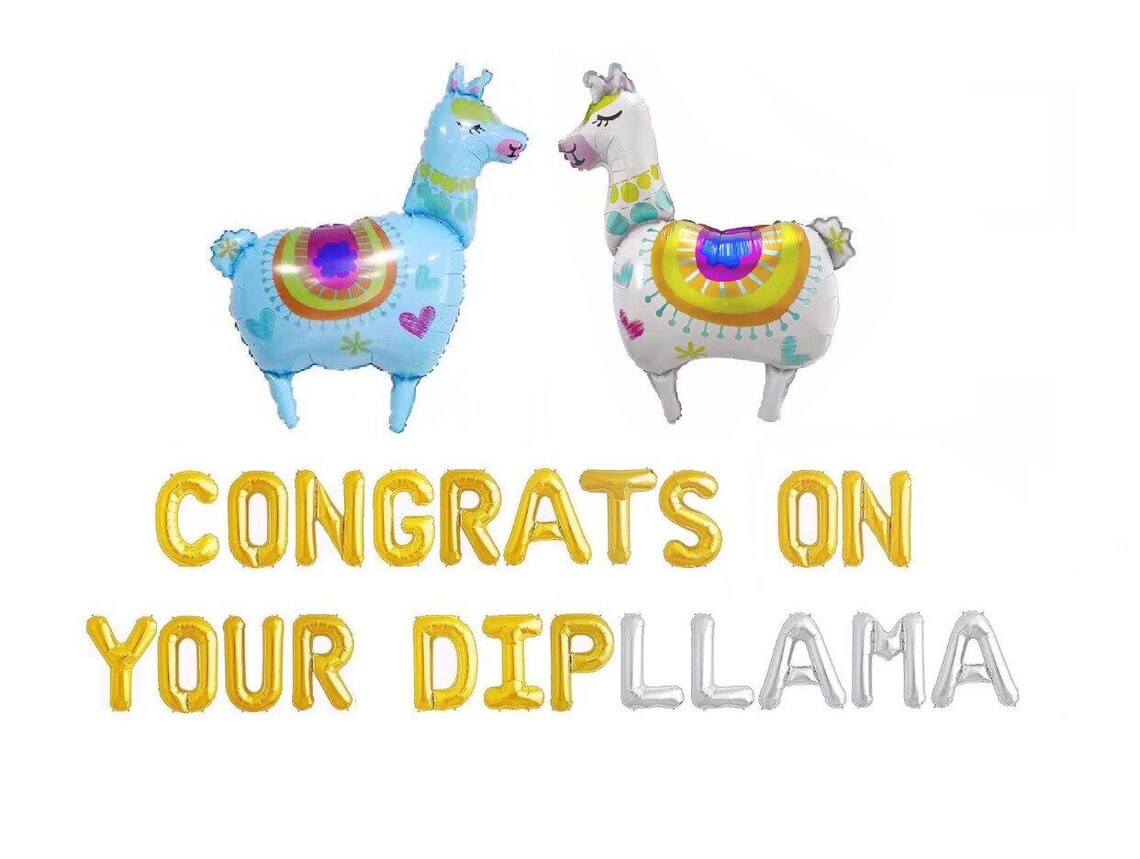 Graduation Party Decorations Graduation Fiesta Llama Grad High - Etsy